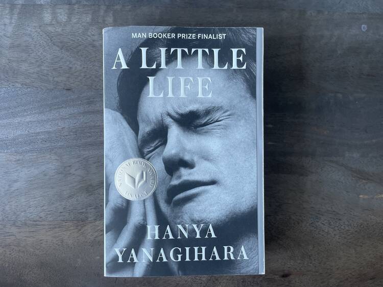 Review sách ngoại văn A Little Life: Bi kịch về nỗi đau và tình bạn
