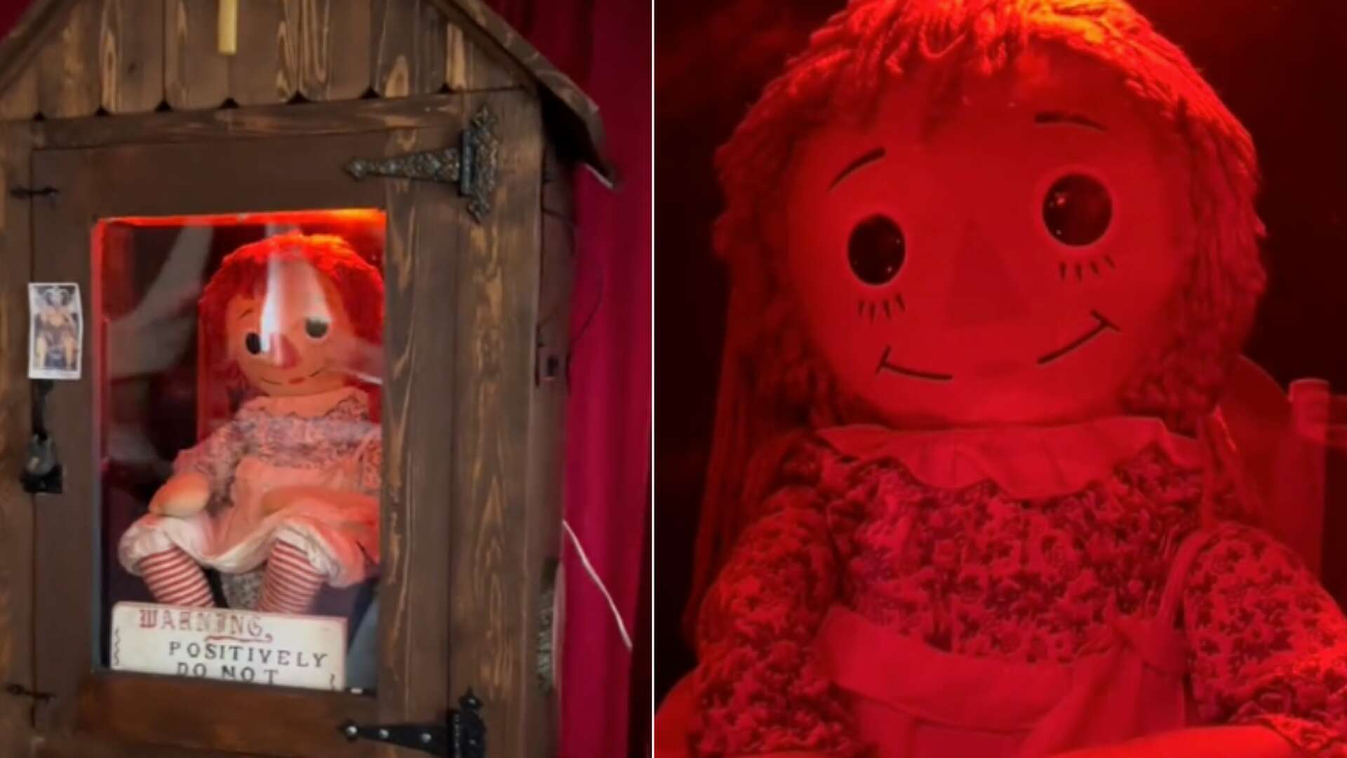 Annabelle là gì? Tin đồn Annabelle mất tích có thật không?